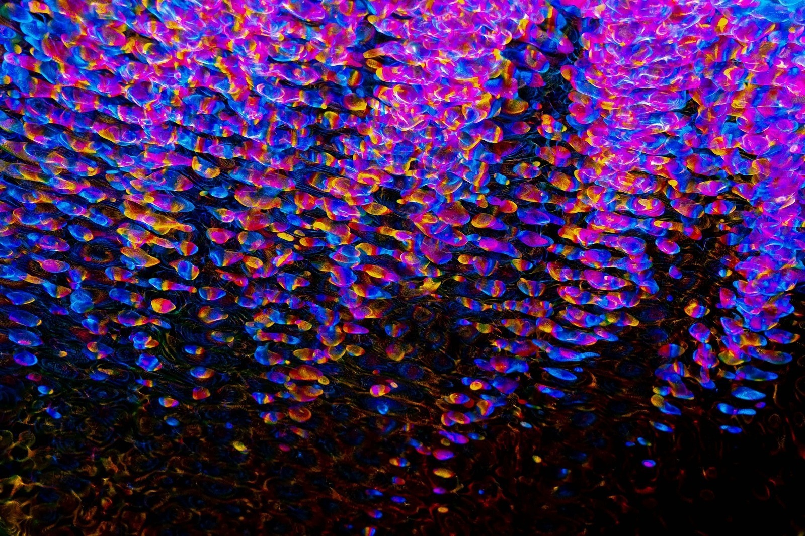 Flutter vs. React Native – srovnání výkonu