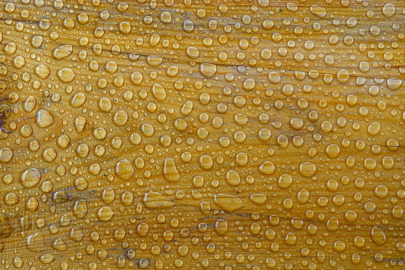 Klasická hudba 18. a 19. storočia