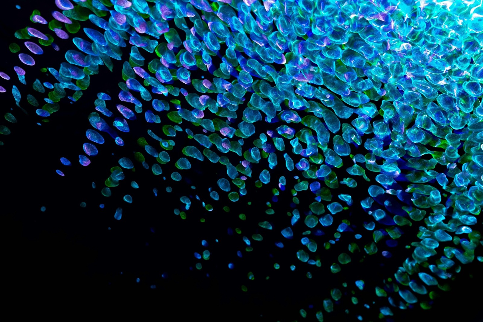 Pre-checked boxy v EÚ: prečo sú problém